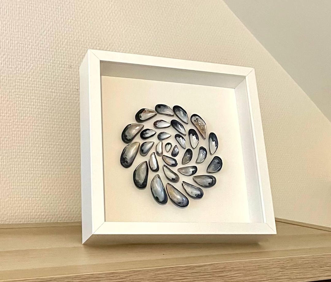 Mussel Shells Sustainable Art for Cozy Bedroom Interior Decor With ...