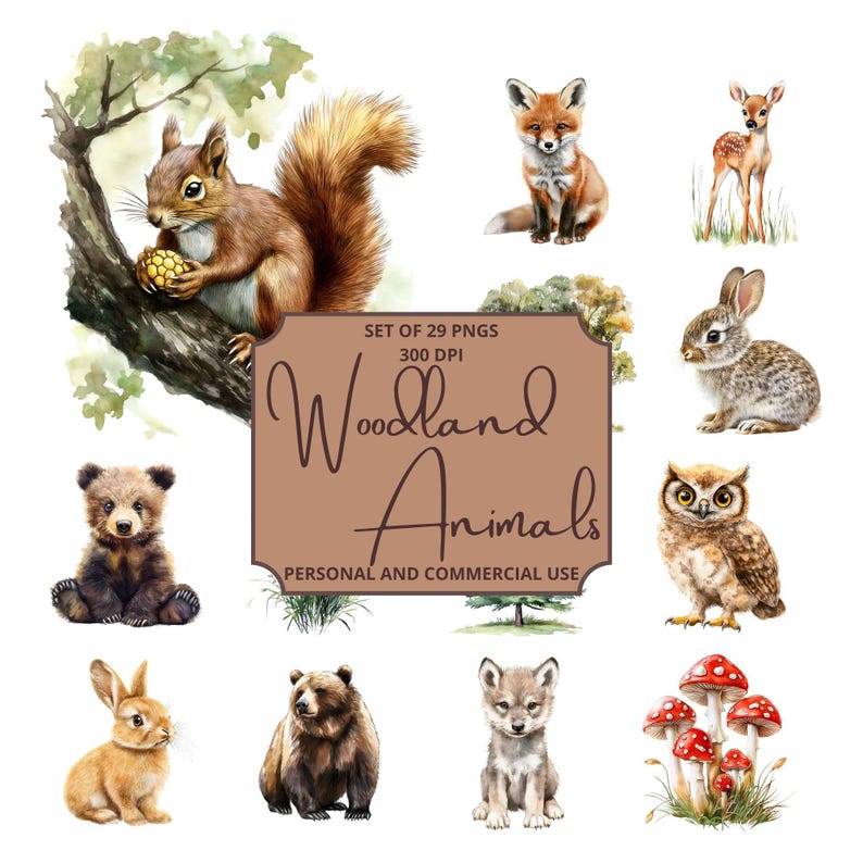 Woodland Animals Digital Clipart, Forest Creatures, Cute Baby Deer ...