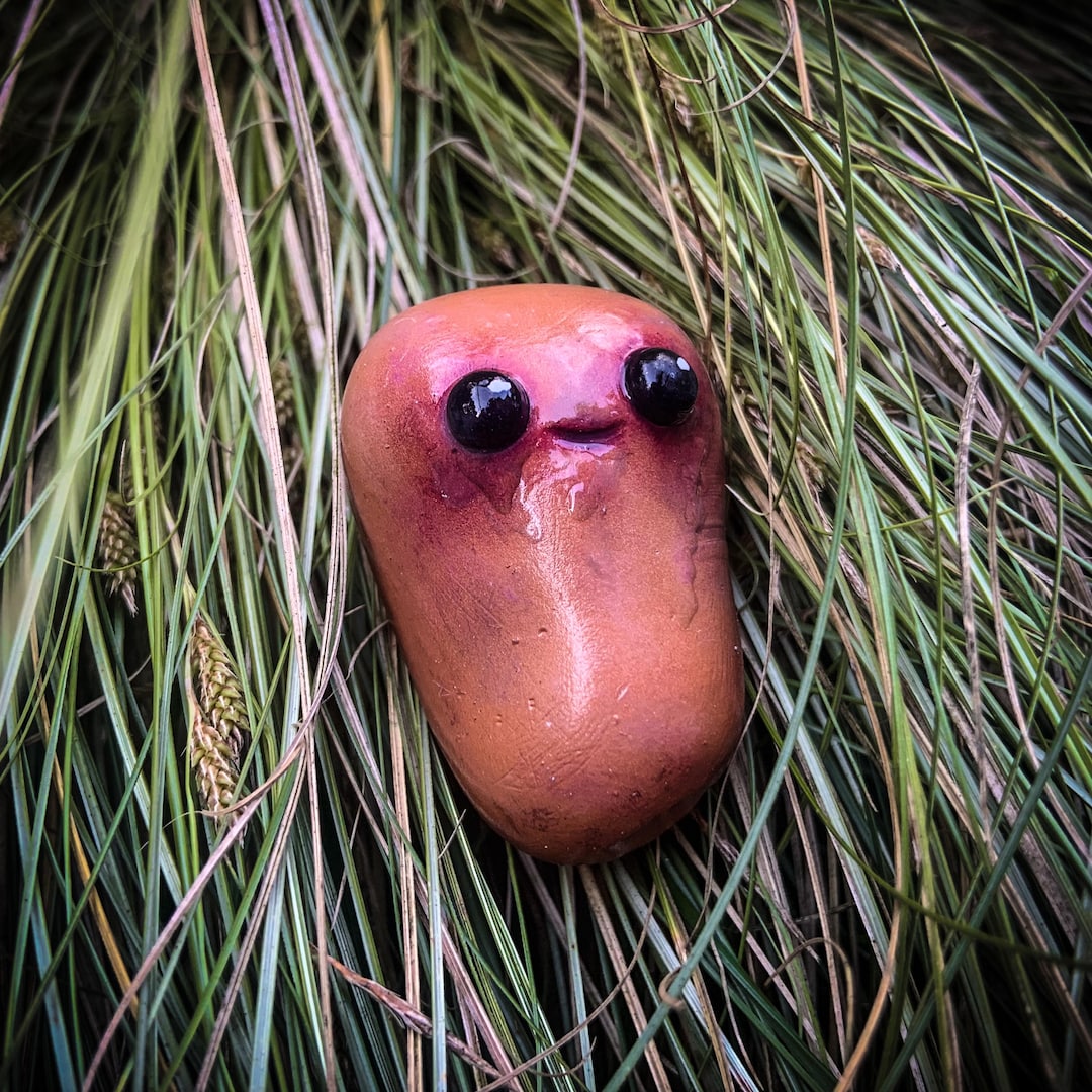 Flick the Unloved Bean | the Cute Ugly Kidney Bean - Etsy