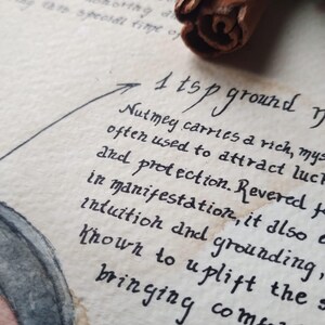 Samhain Simmer Pot Watercolor - Witchy Autumn Decor, Pagan Harvest ...