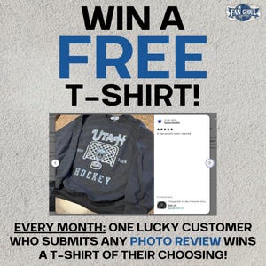 Lion Plushie, Detroit Football Stuffed Animal With Tee, Football Fan ...