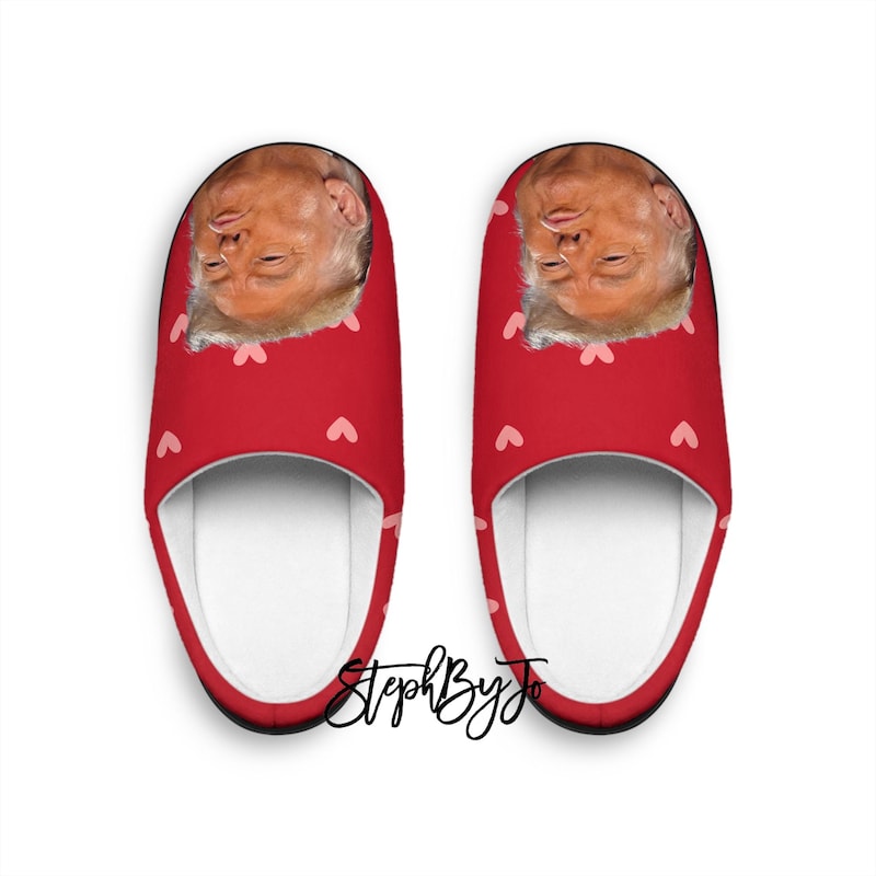 Funny Ugly Slippers - Etsy