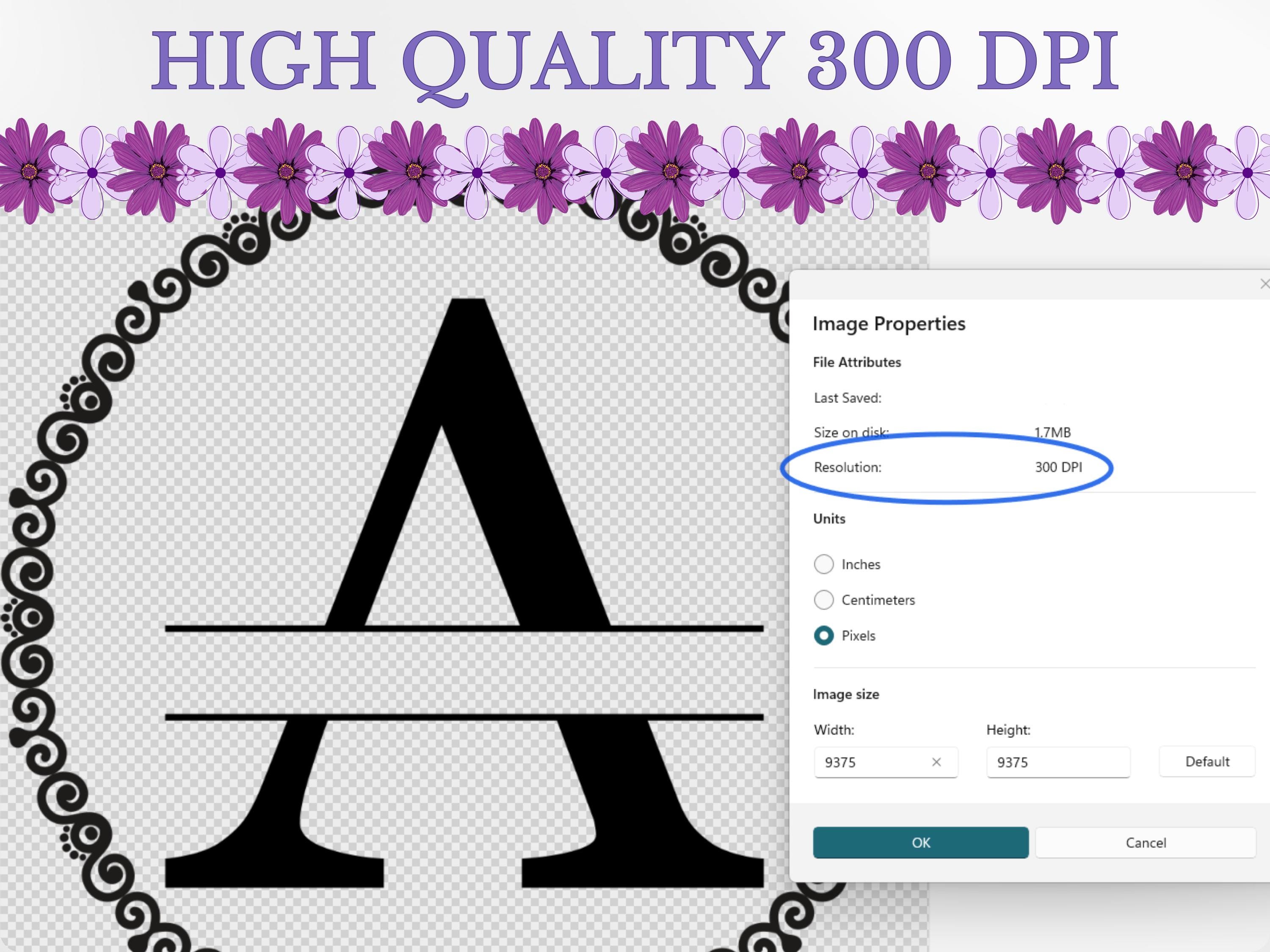 Monogram Split Letters SVG Split Monogram Alpha Split Circle Split Font ...