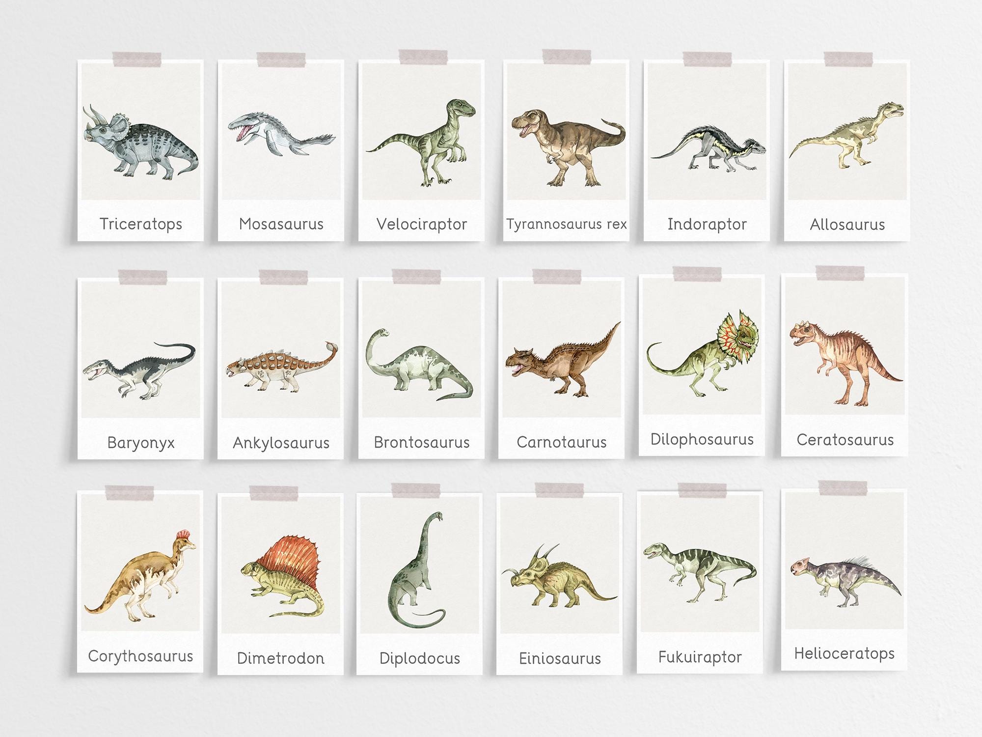 Editable Dinosaur Flashcards: Montessori Learning Cards (PDF) - Etsy