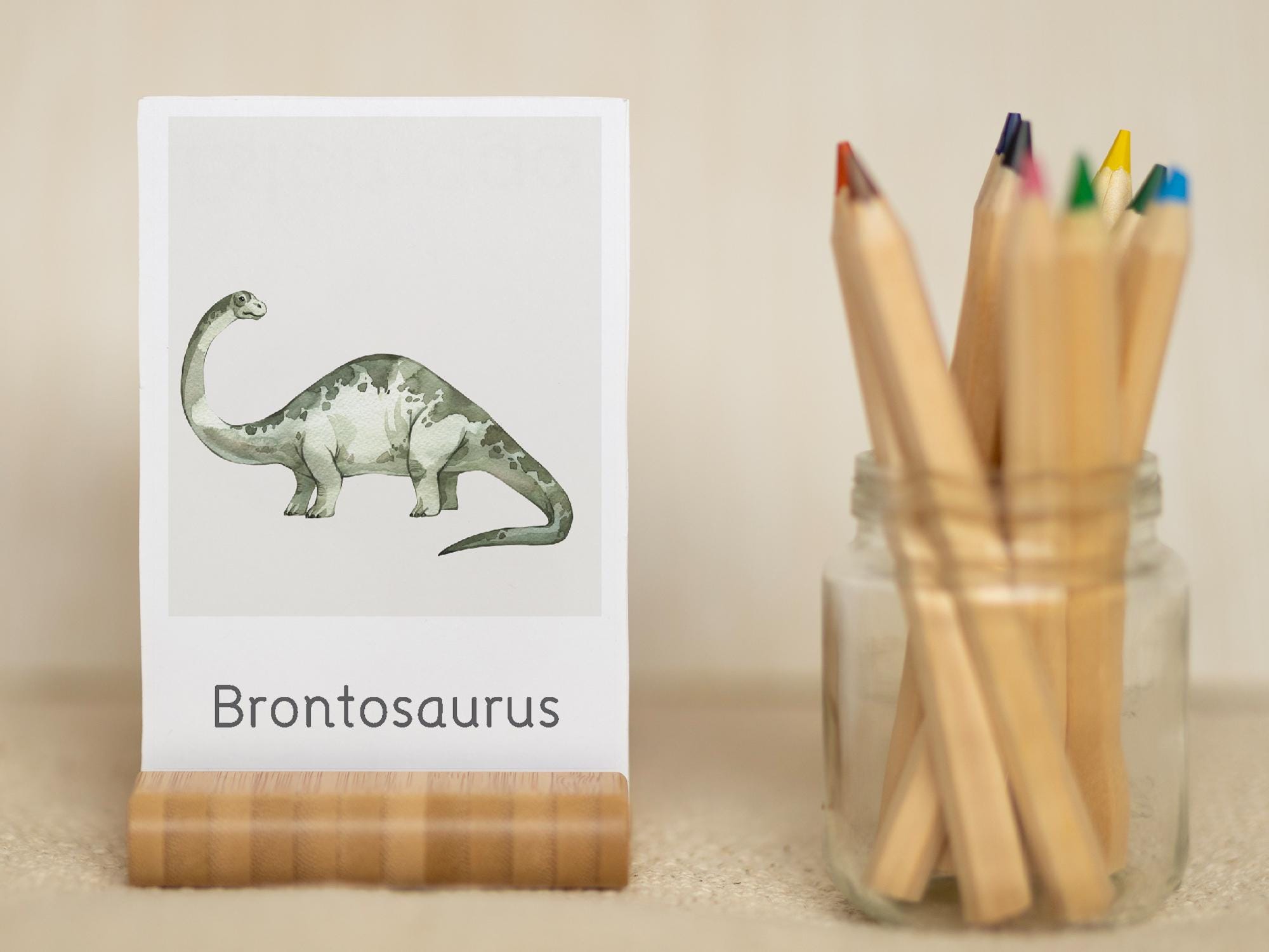 Dinosaur Flash Cards Printable | Montessori 3 Part Cards | 56 Editable ...