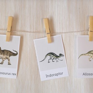 Dinosaur Flash Cards Printable | Montessori 3 Part Cards | 56 Editable ...
