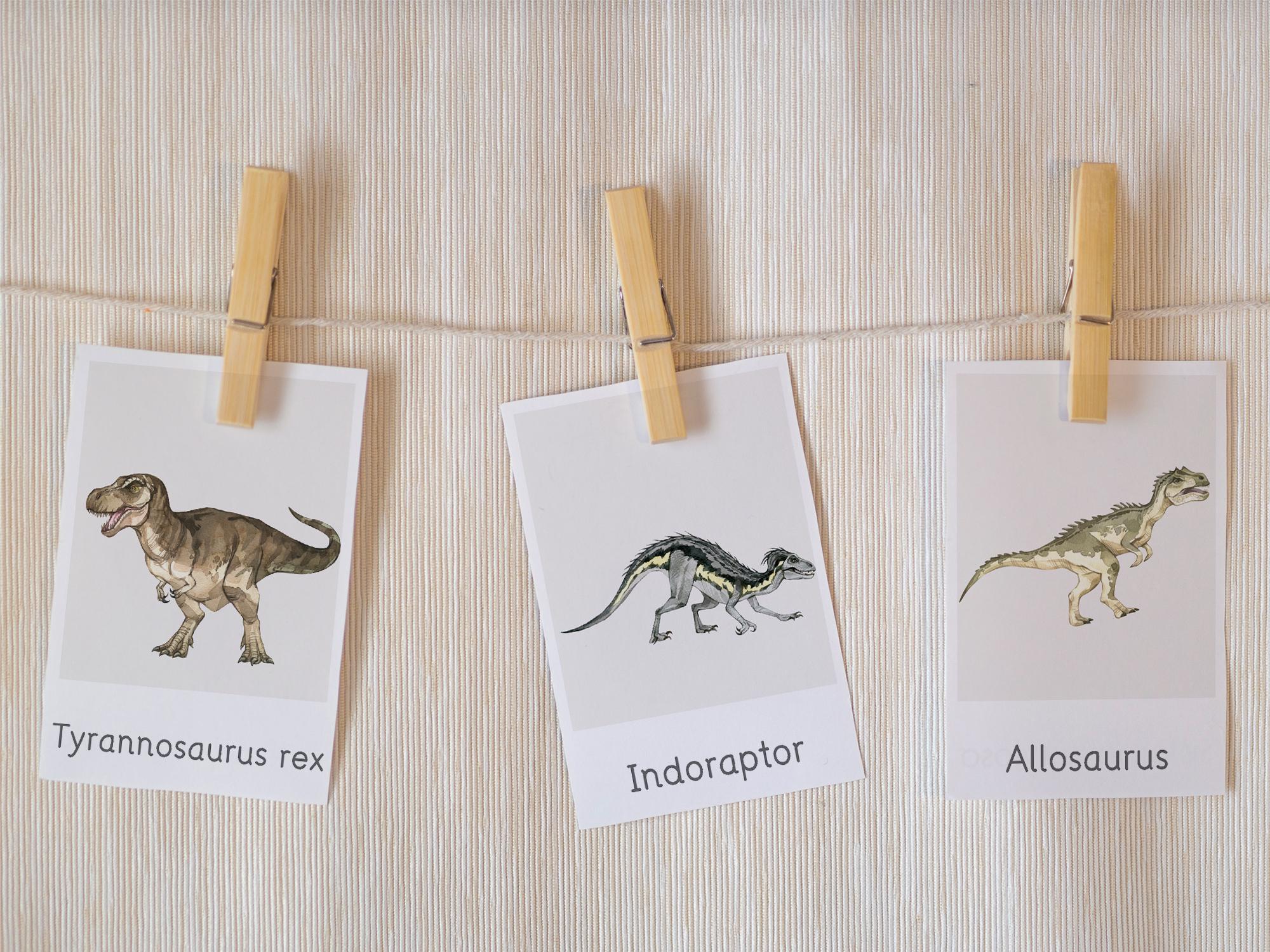 Dinosaur Flash Cards Printable | Montessori 3 Part Cards | 56 Editable ...