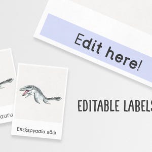 Dinosaur Flash Cards Printable | Montessori 3 Part Cards | 56 Editable ...