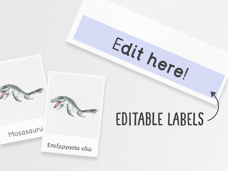 Dinosaur Flash Cards Printable | Montessori 3 Part Cards | 56 Editable ...