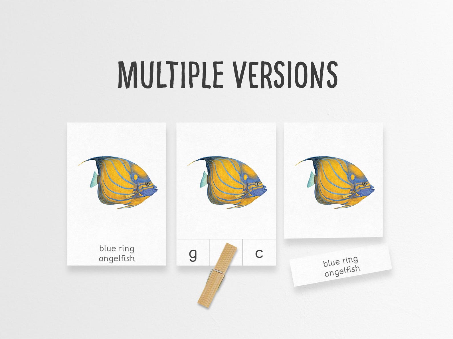 Tropical Fish Flashcards: Montessori Homeschool Printable (PDF) - Etsy