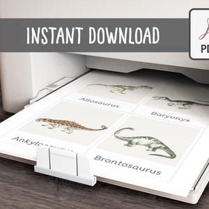 Dinosaur Flash Cards Printable | Montessori 3 Part Cards | 56 Editable ...