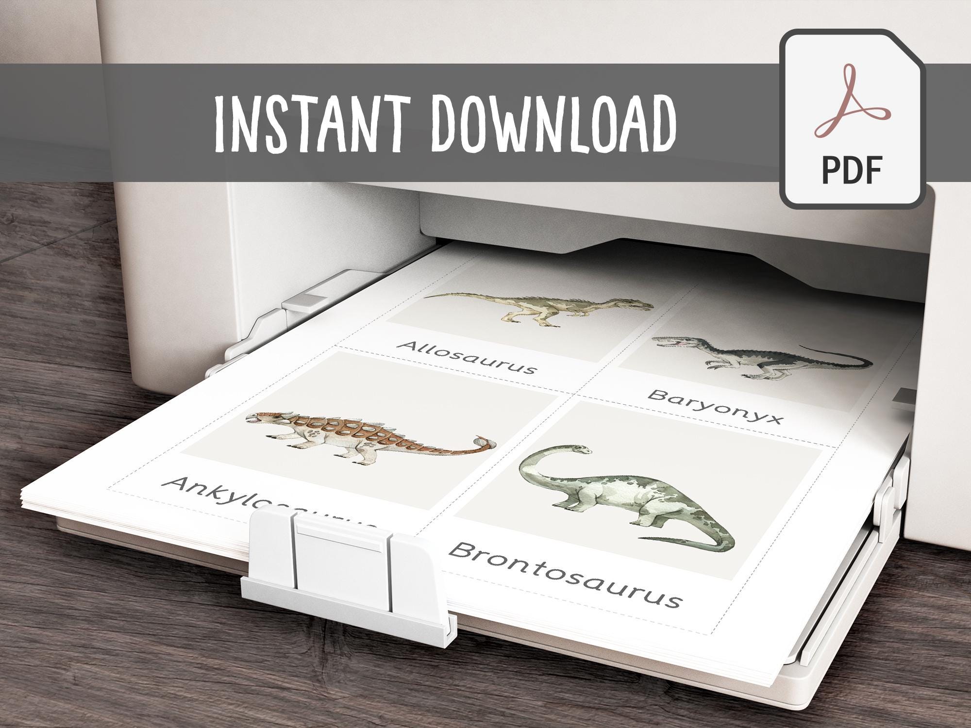 Dinosaur Flash Cards Printable | Montessori 3 Part Cards | 56 Editable ...