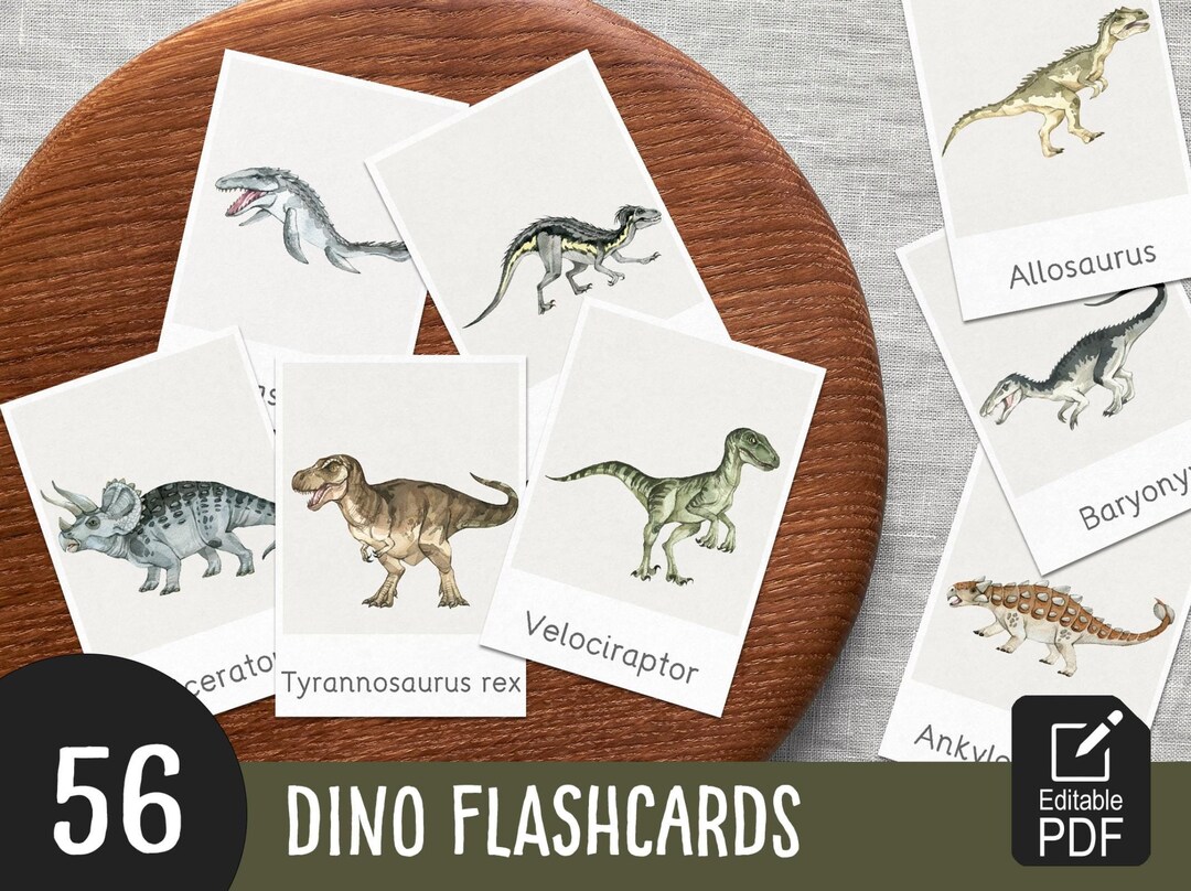 Dinosaur Flash Cards Printable | Montessori 3 Part Cards | 56 Editable ...