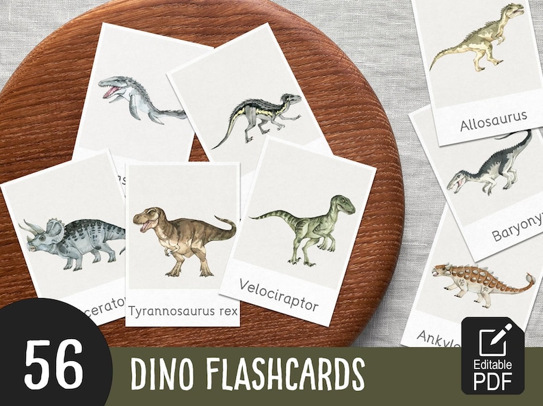 Dinosaur Flash Cards Printable | Montessori 3 Part Cards | 56 Editable ...