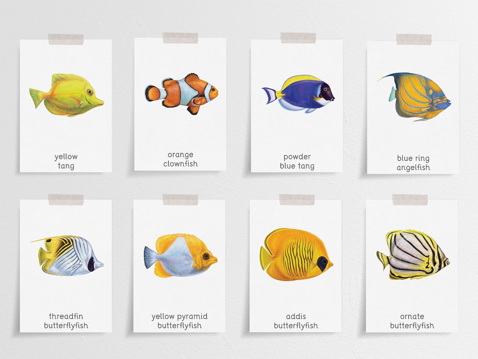 Tropical Fish Flashcards: Montessori Homeschool Printable (PDF) - Etsy
