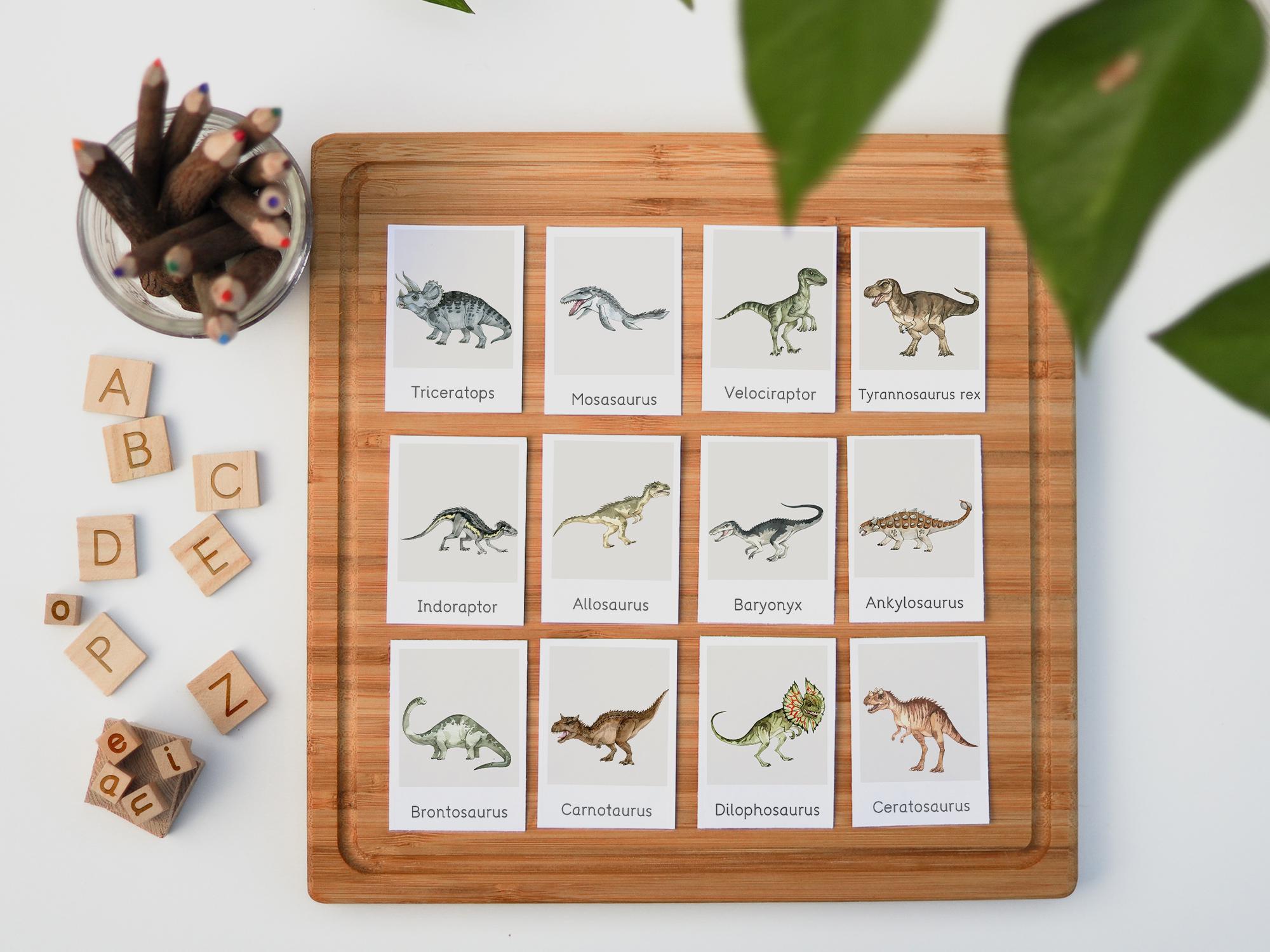 Editable Dinosaur Flashcards: Montessori Learning Cards (PDF) - Etsy