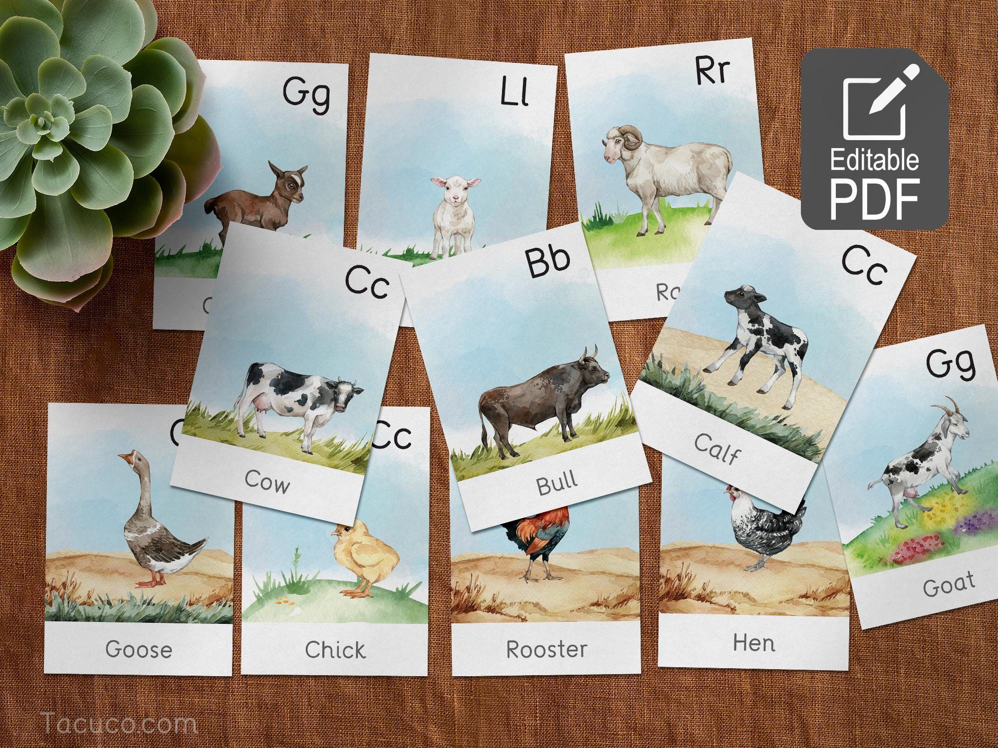Farm Animals Flashcards: Montessori Learning Cards (digital Download - Etsy