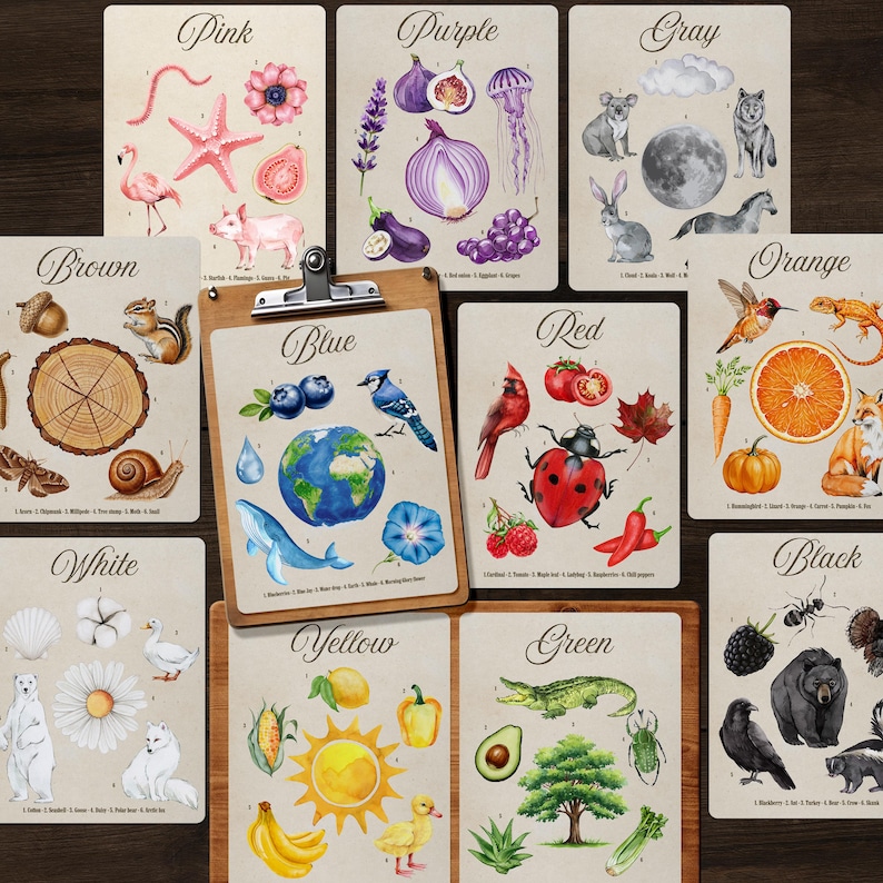 Nature Color Posters: Charlotte Mason Educational Wall Art (instant ...