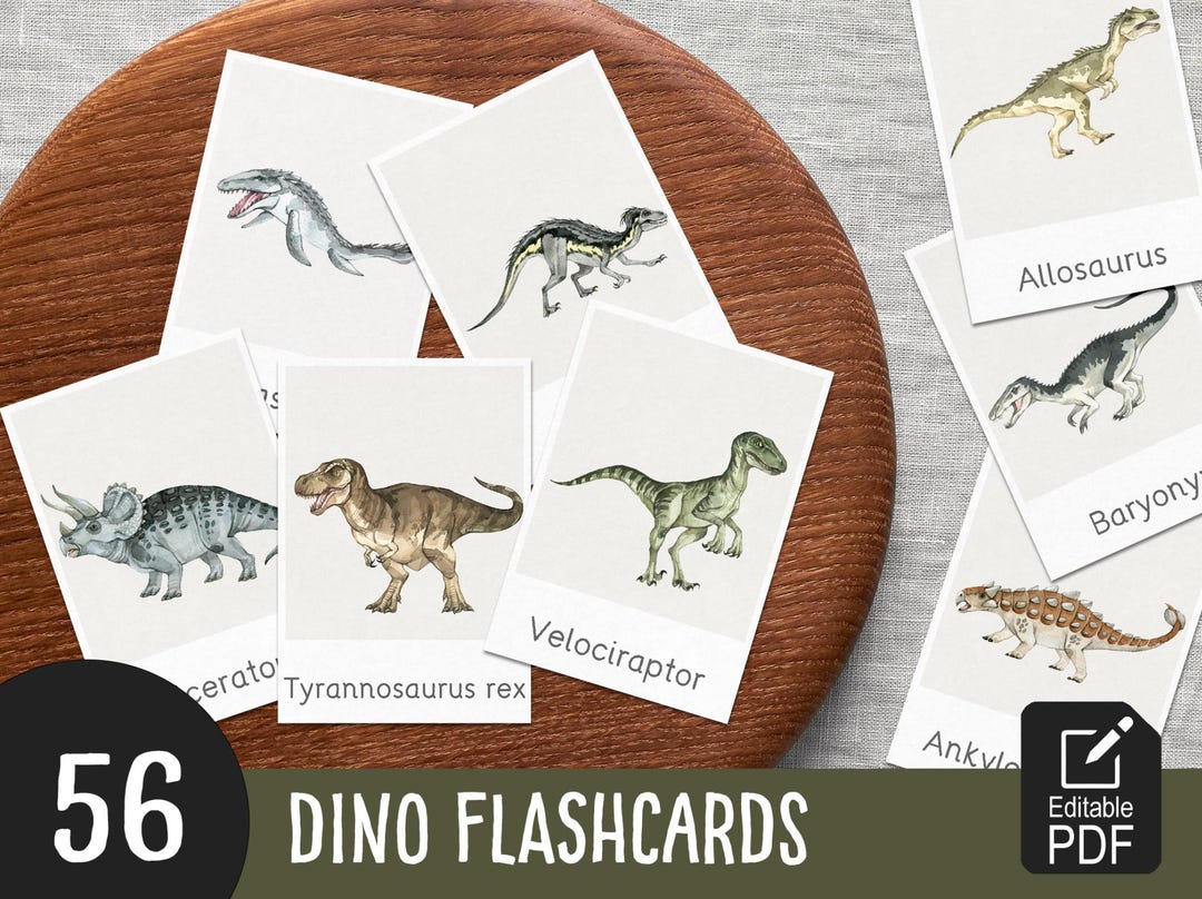 Editable Dinosaur Flashcards: Montessori Learning Cards (PDF) - Etsy