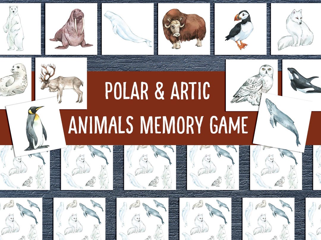 Arctic Animals Memory Match Game | Polar Animals Educational Printable ...