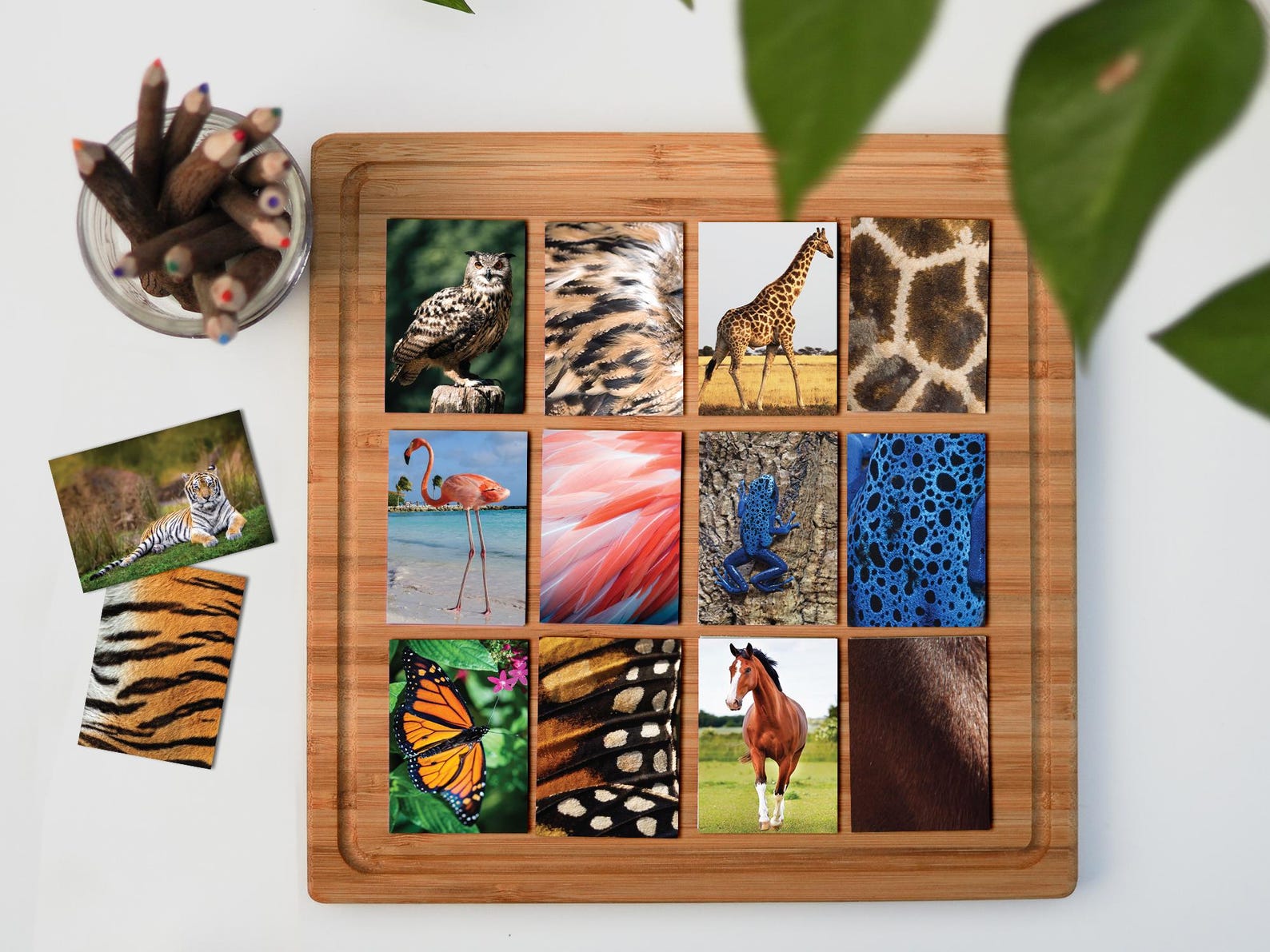 Animal Pattern Matching Cards: Montessori Nature Study Game (PDF ...
