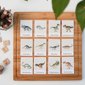 Dinosaur Flash Cards Printable | Montessori 3 Part Cards | 56 Editable ...