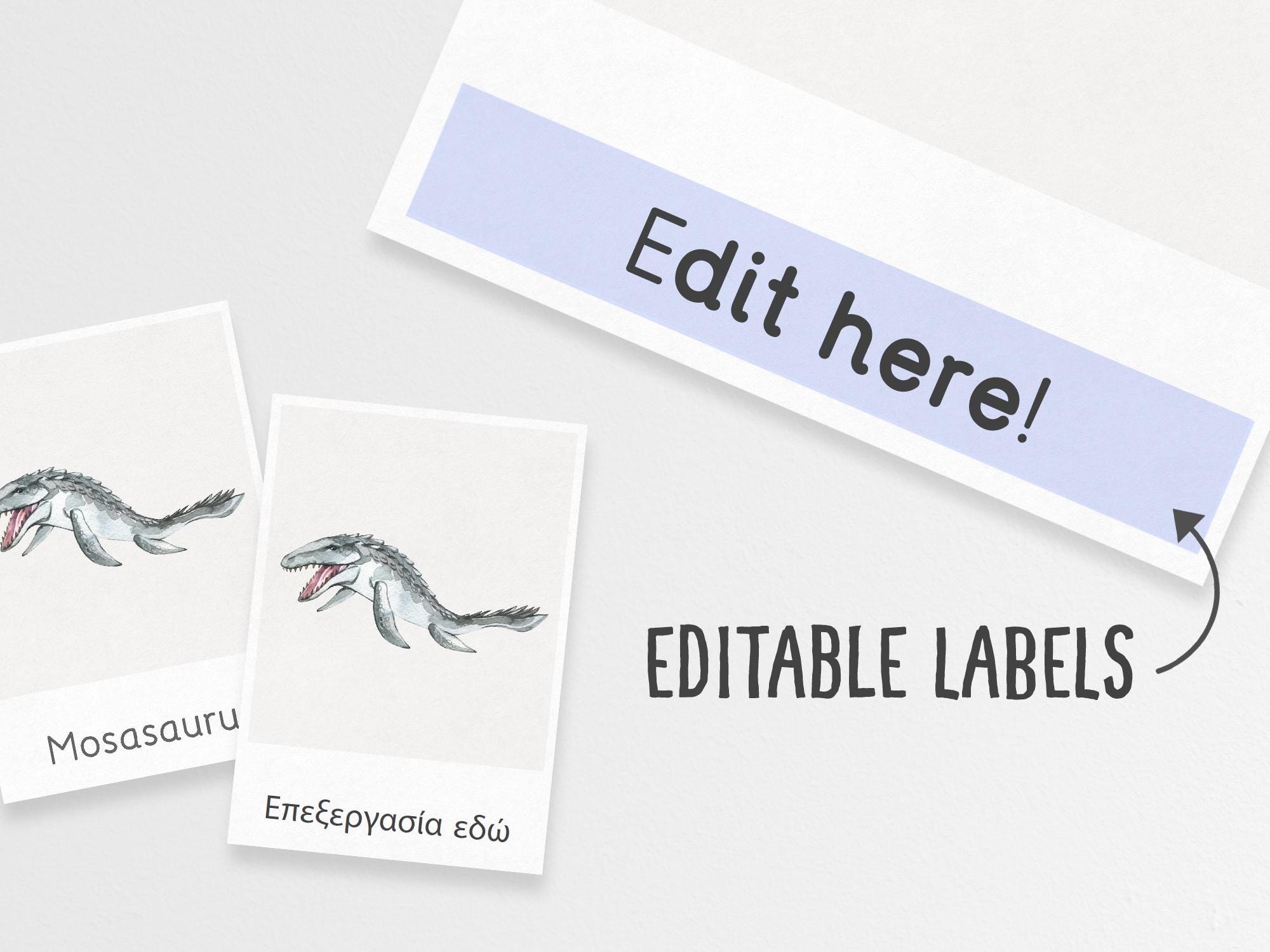Editable Dinosaur Flashcards: Montessori Learning Cards (PDF) - Etsy
