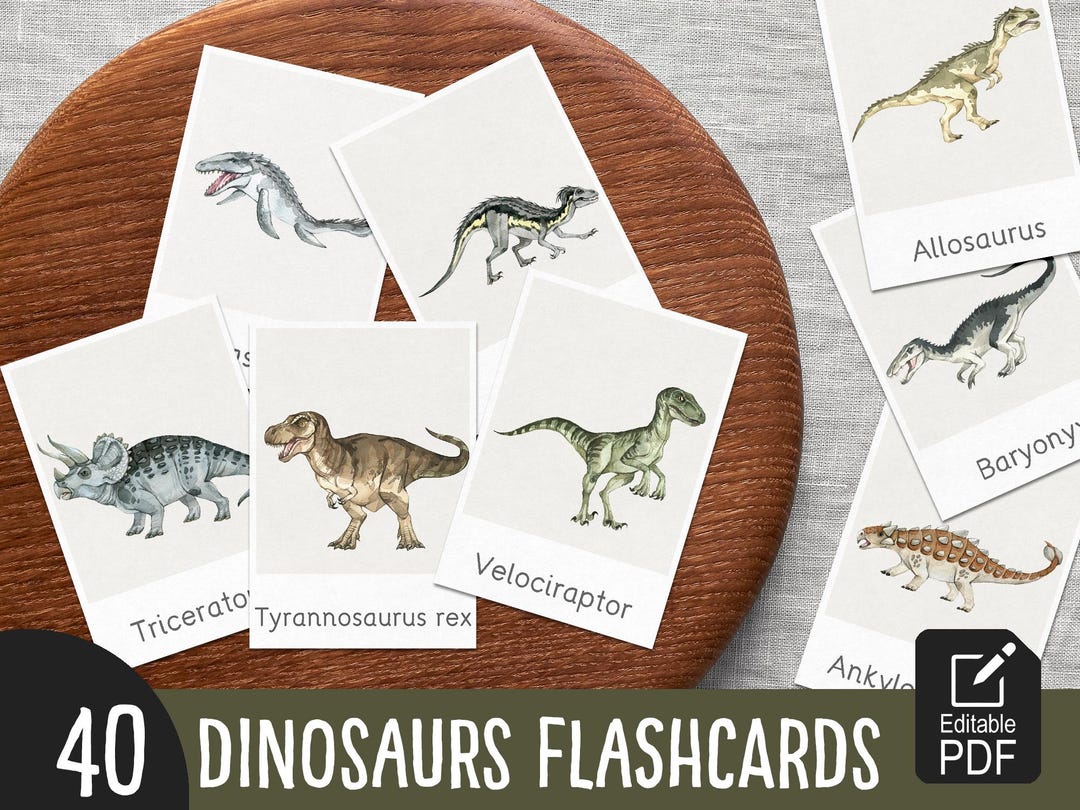 Dinosaur Flash Cards Printable Montessori 3 Part Cards 40 Editable ...