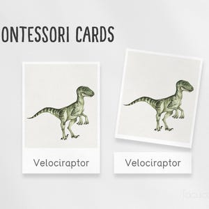 Dinosaur Flash Cards Printable | Montessori 3 Part Cards | 56 Editable ...