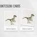 Dinosaur Flash Cards Printable | Montessori 3 Part Cards | 56 Editable ...