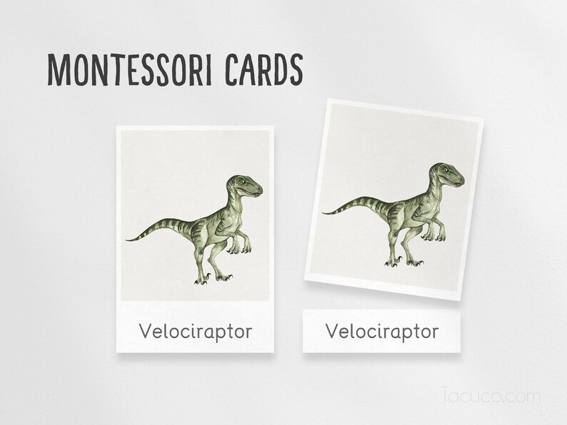 Dinosaur Flash Cards | 56 Montessori Learning Cards (editable PDF) - Etsy