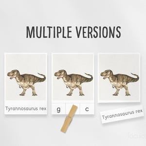 Dinosaur Flash Cards Printable Montessori 3 Part Cards 40 Editable ...