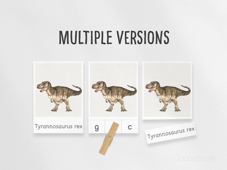 Dinosaur Flash Cards Printable Montessori 3 Part Cards 40 Editable ...