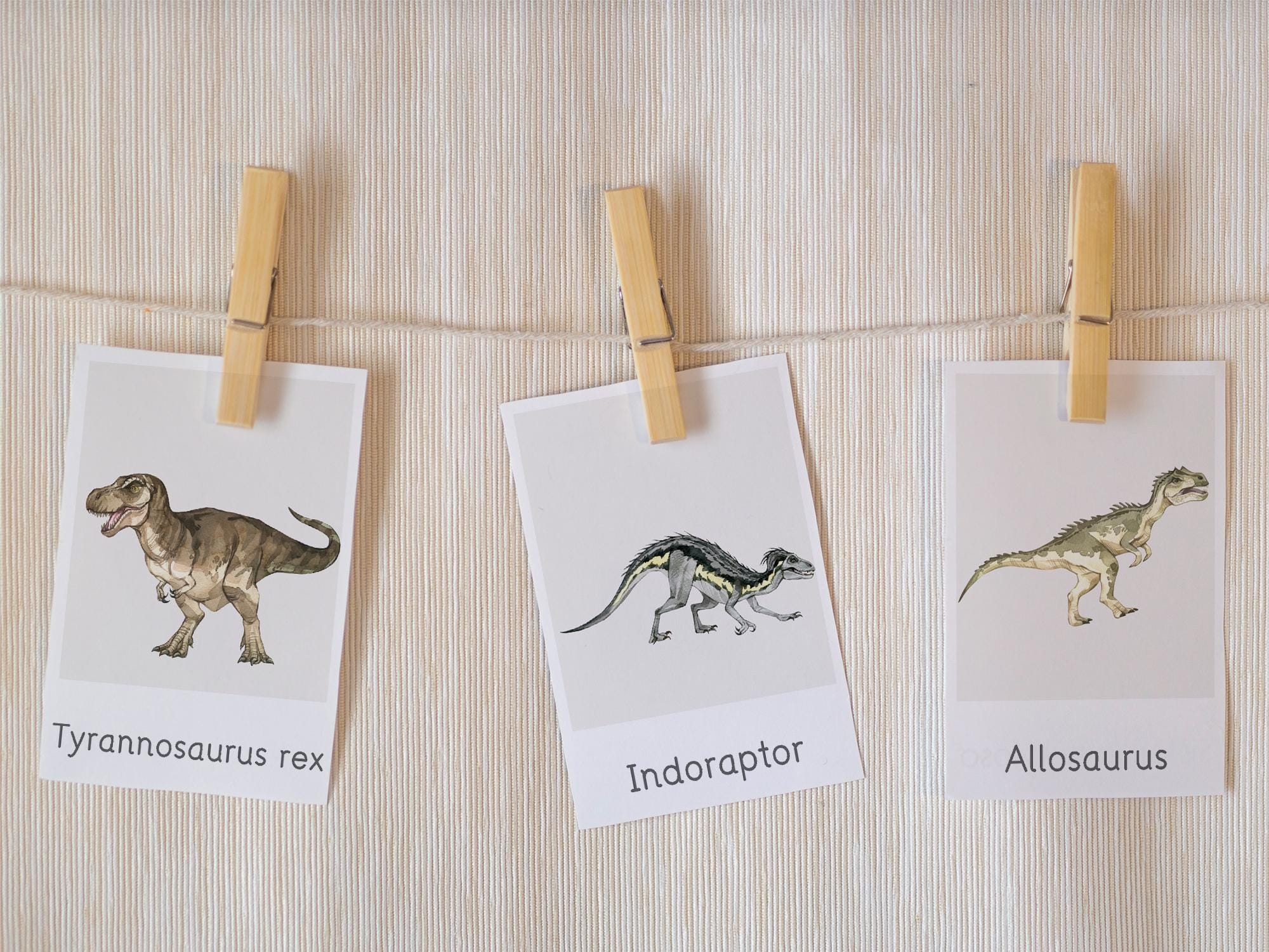 Editable Dinosaur Flashcards: Montessori Learning Cards (PDF) - Etsy