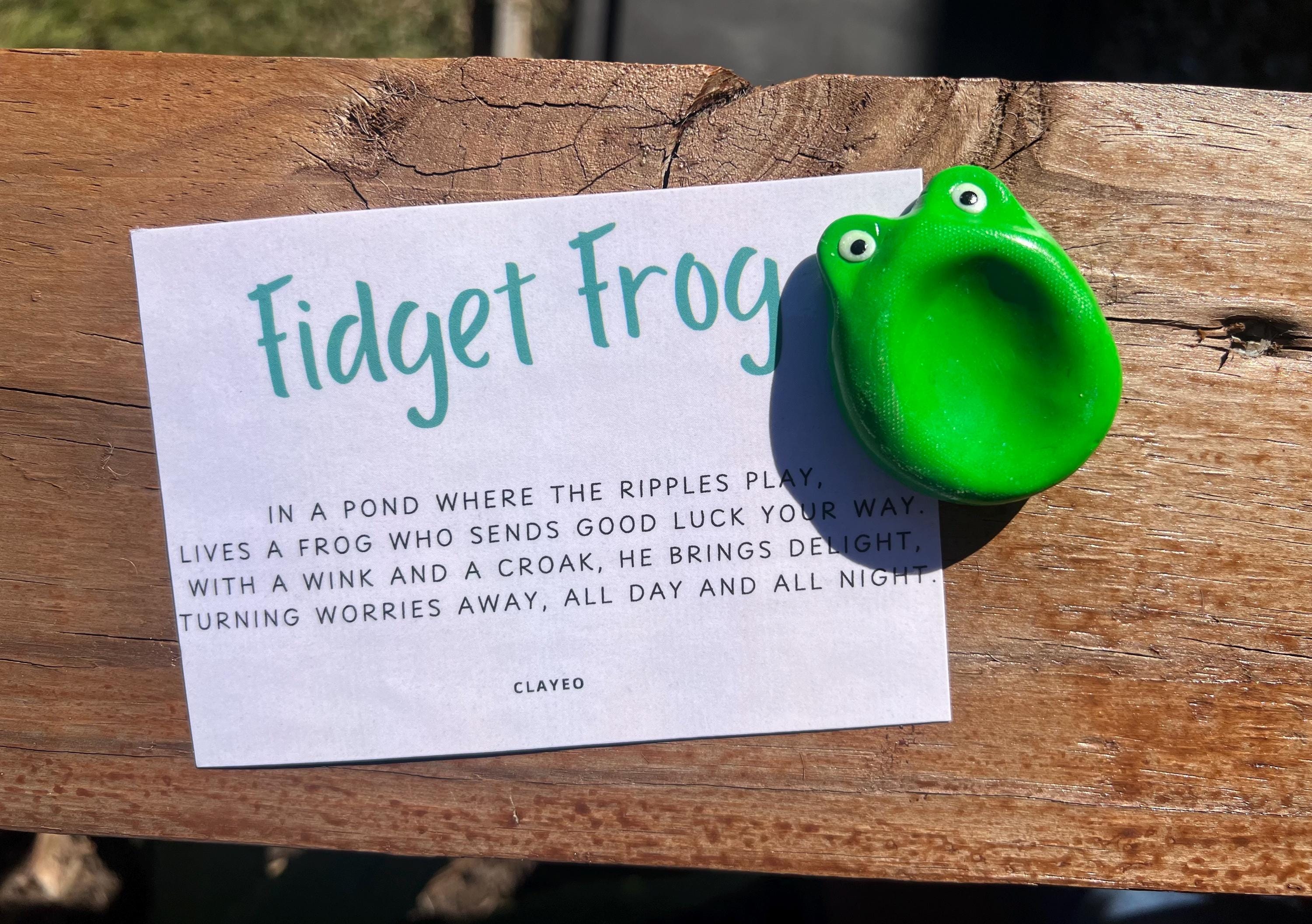 Worry Stone | Fidget Frog | Handmade Polymer Clay - Etsy