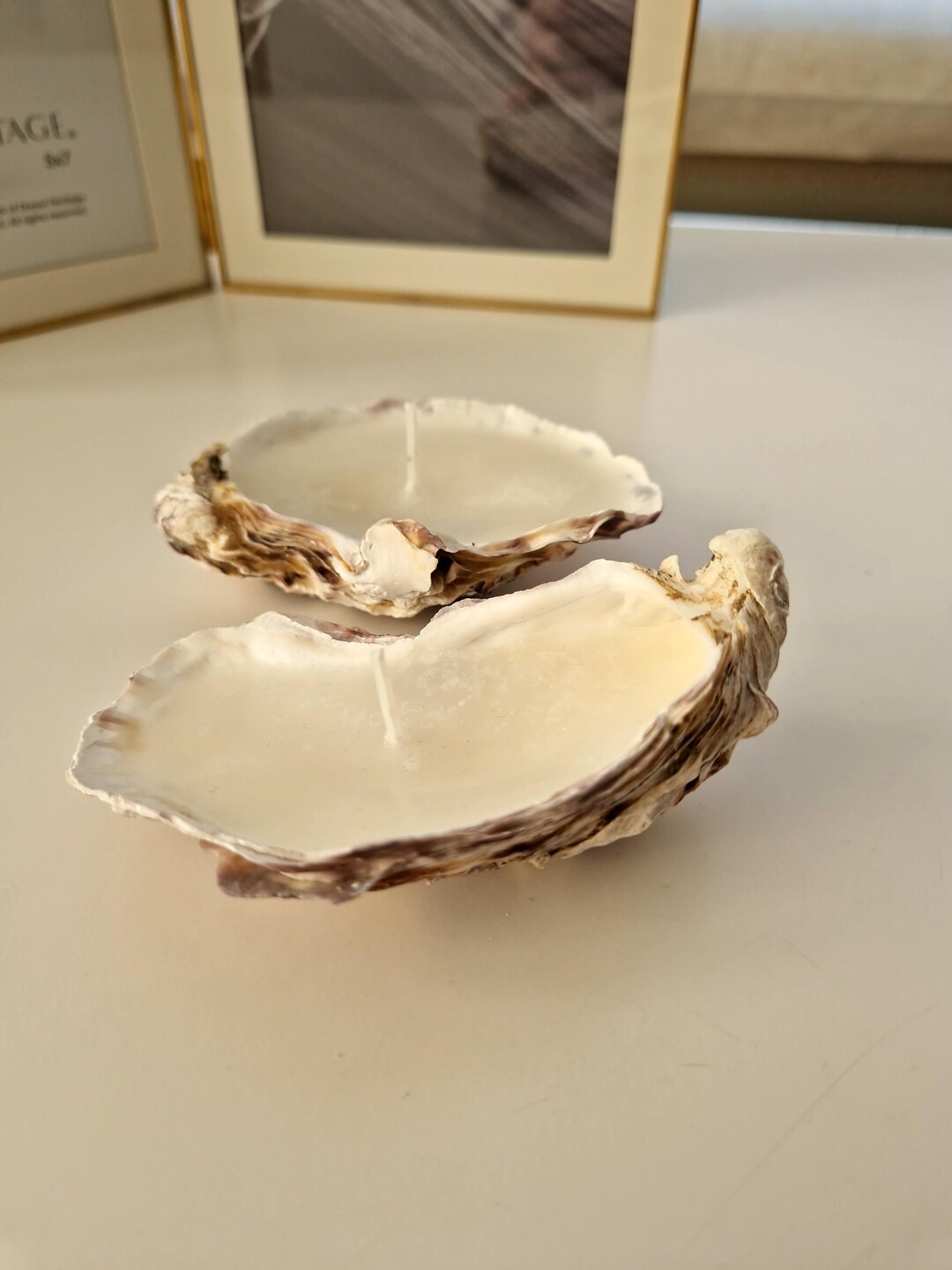 Oyster Shell Candles – a Rustic and Elegant Touch for Your Home, an ...