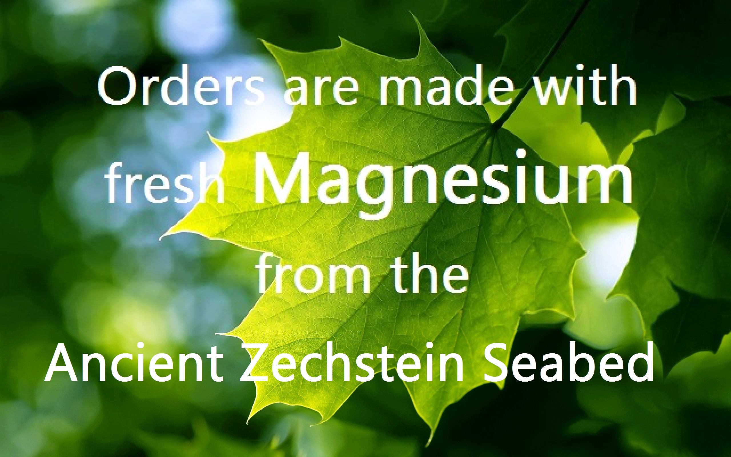MAGNESIUM LOTION Whipped Magnesium Butter Topical Magnesium Cream ...