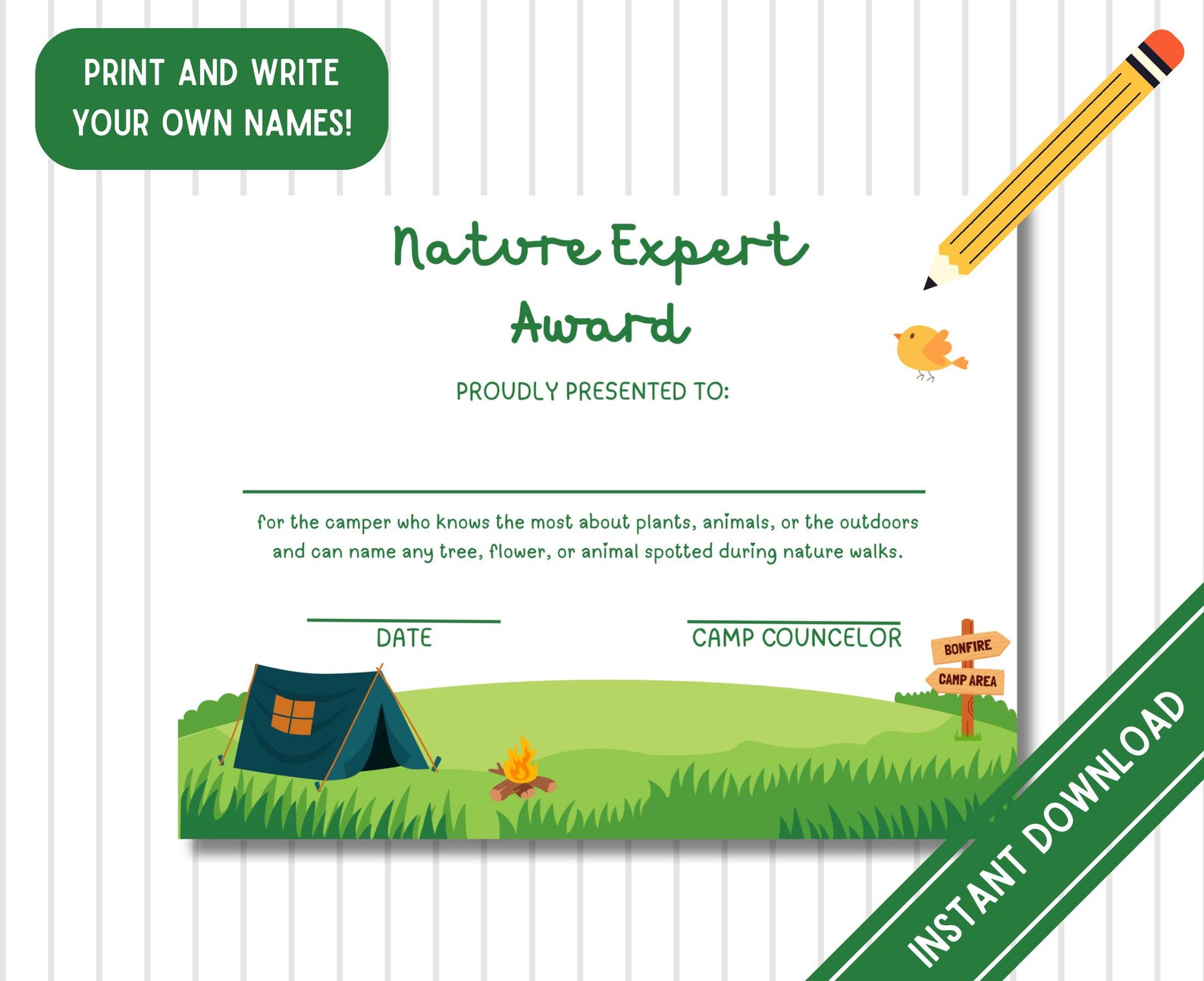 Summer Camp Awards Certificates, Camp Achievement Award, Campers Gift ...