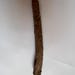 Natural Licorice, Glycyrrhiza Glabra, Moroccan Areq Souss, Licorice ...