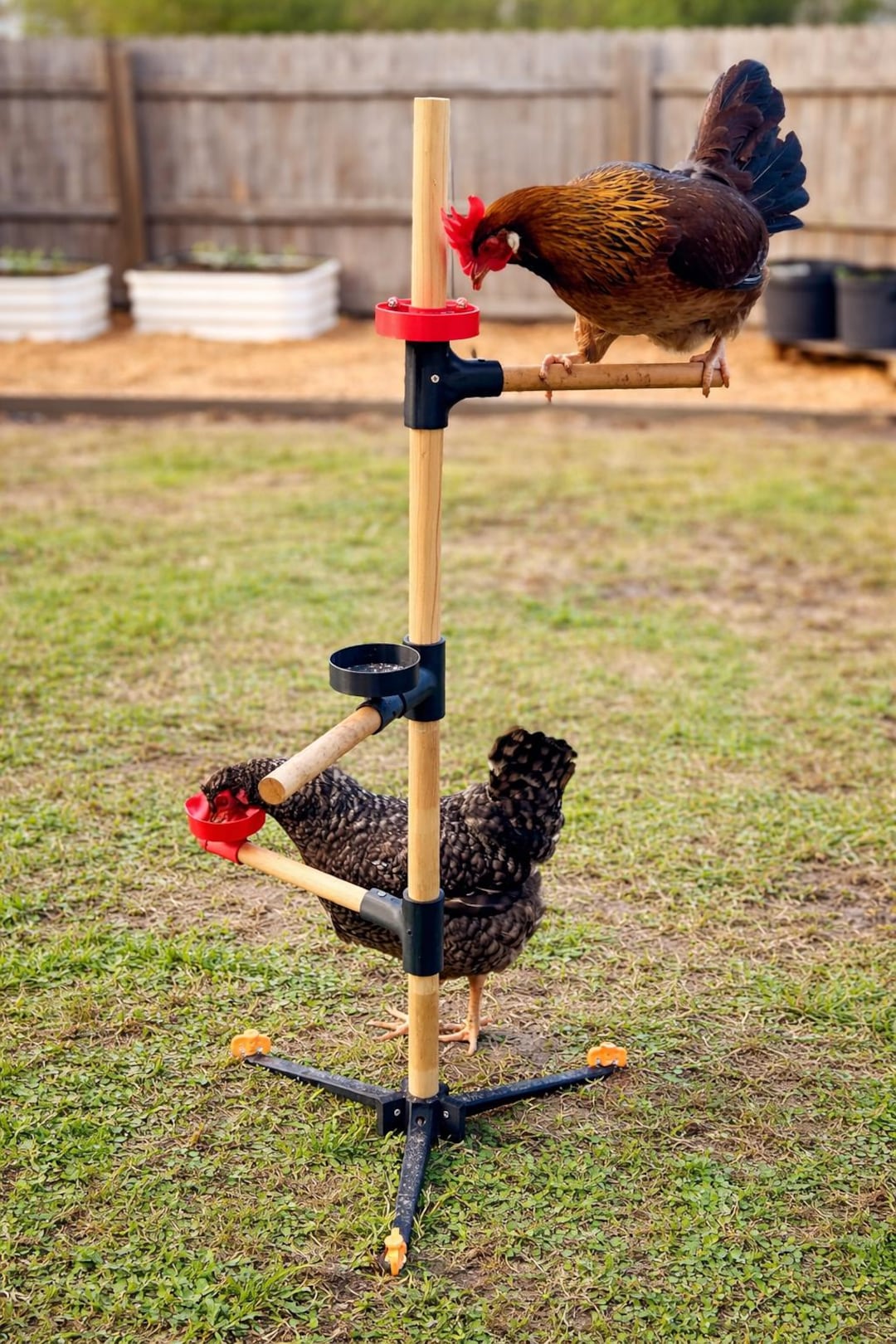 Freestanding Chicken Perch - Etsy