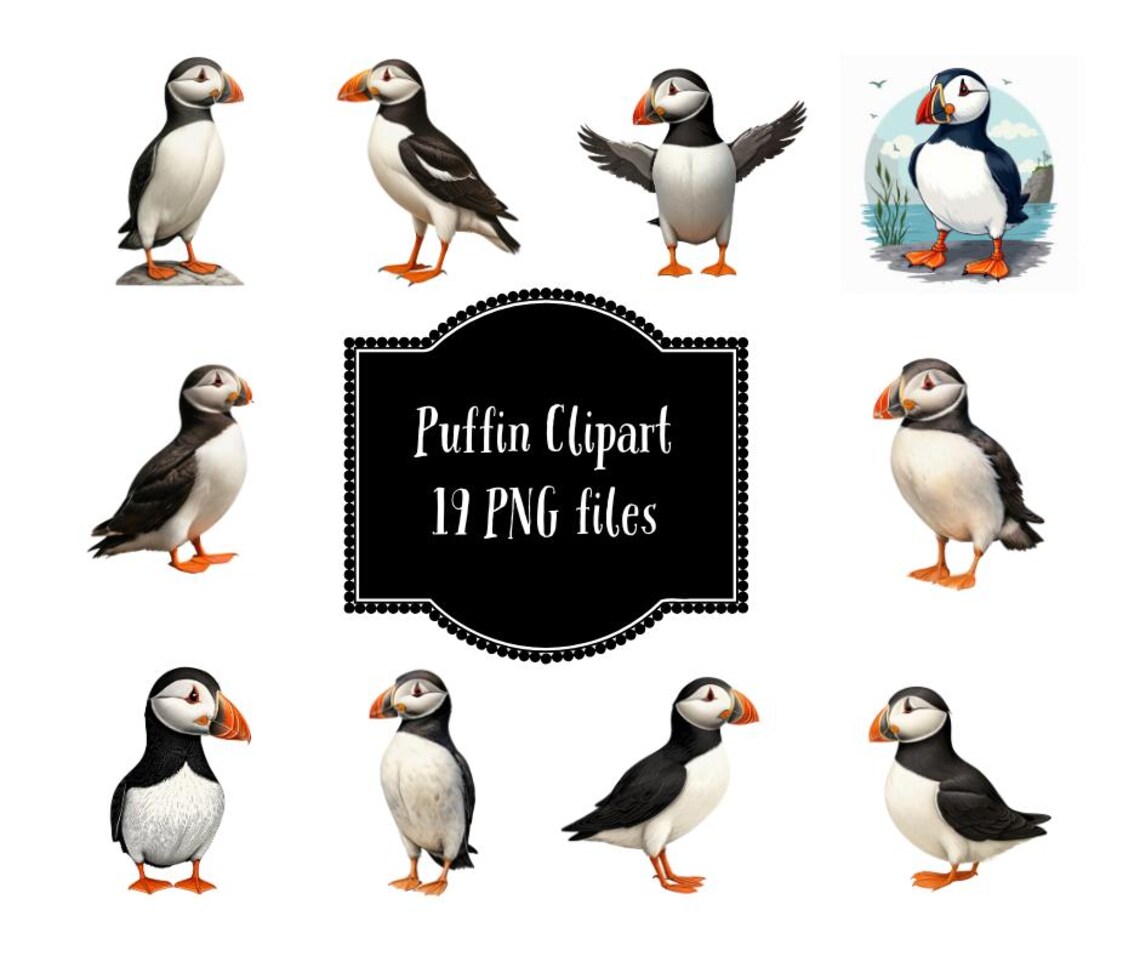 Puffin PNG Clipart Instant Digital Download Artic Bird Lover PNG for ...