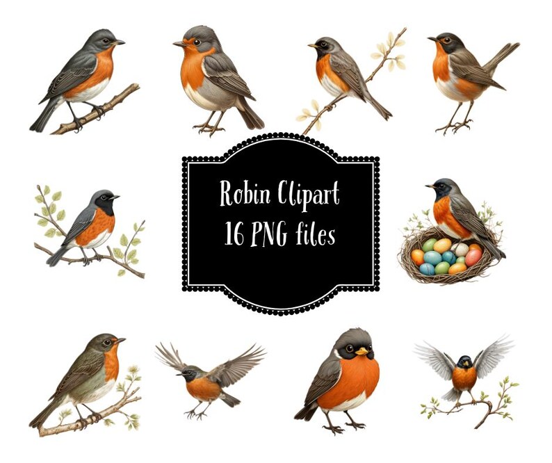 Red Robin PNG Clipart Instant Digital Download Bird Lover PNG for ...