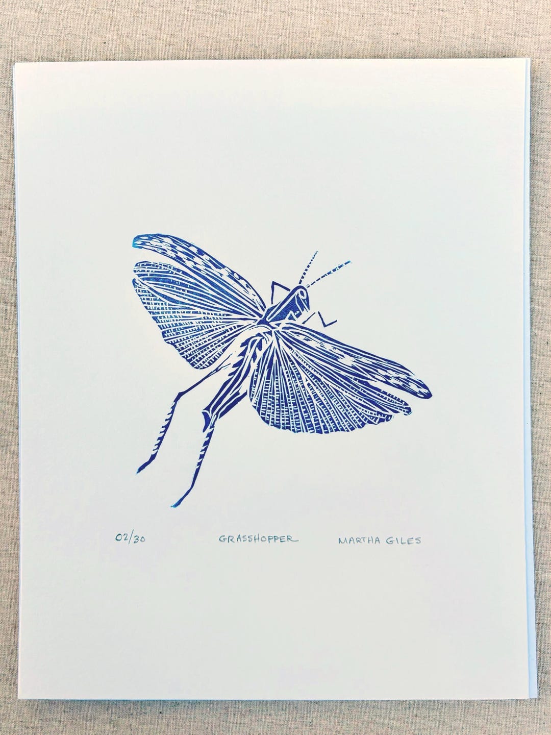 Grasshopper Original Linocut Print, Limited Edition - Etsy