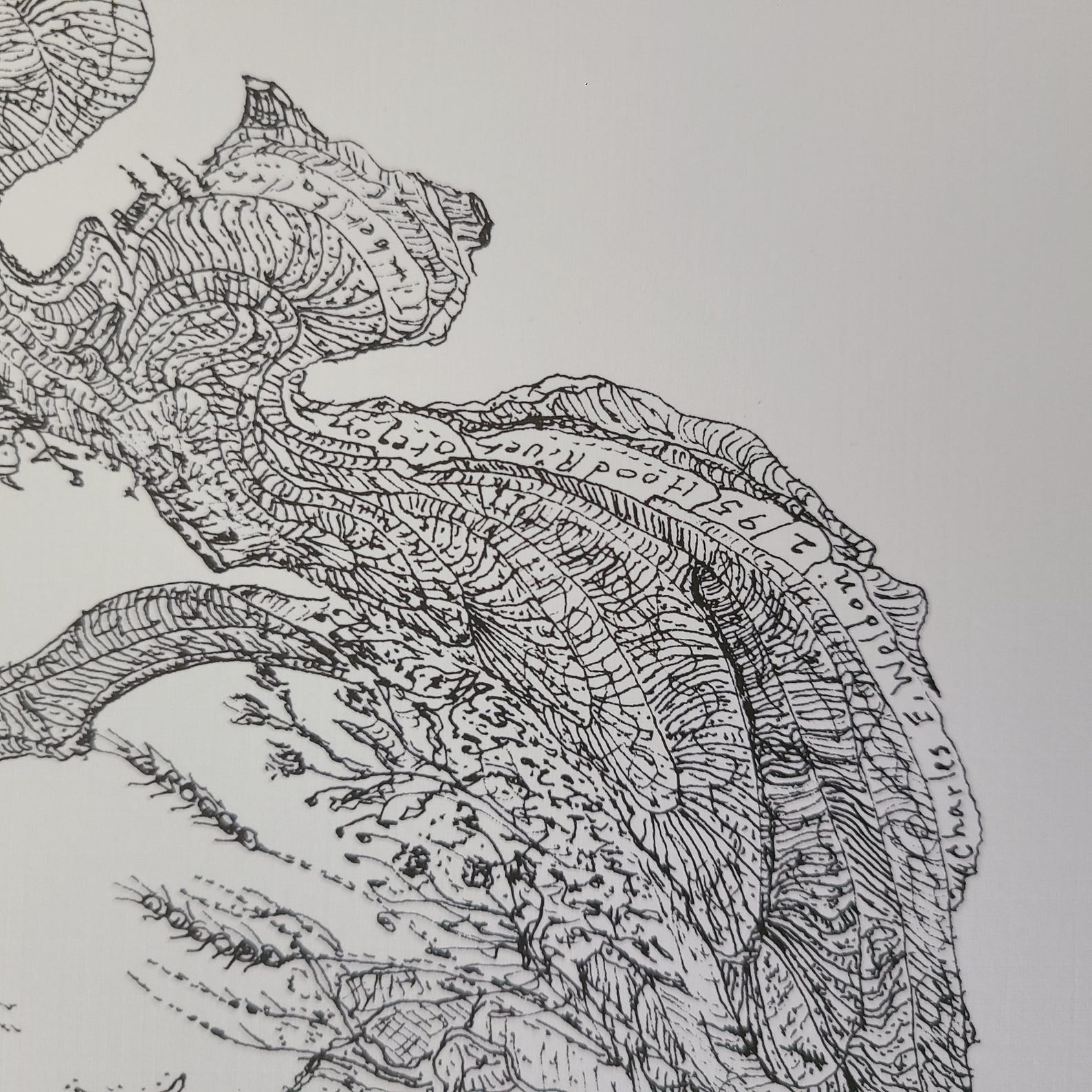 Intricate Pen Artwork With Hidden Images | Unique Forest & Animal ...