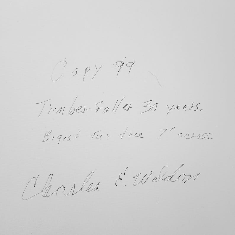 Intricate Pen Artwork With Hidden Images | Unique Forest & Animal ...