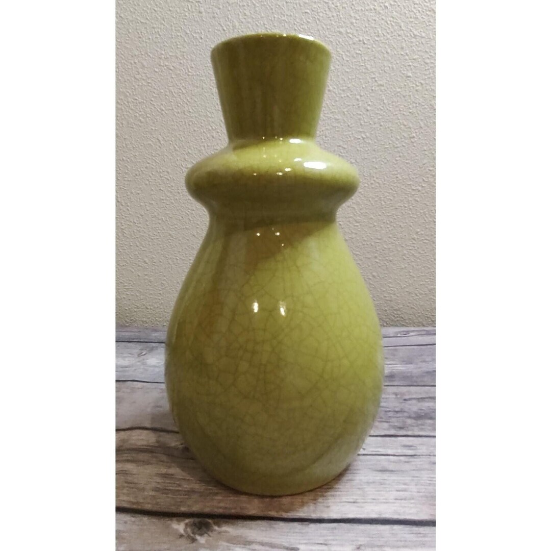 Crate and Barrel Mireya Lime Green 9.5 Inch Vase, Crate and Barrel Vase ...