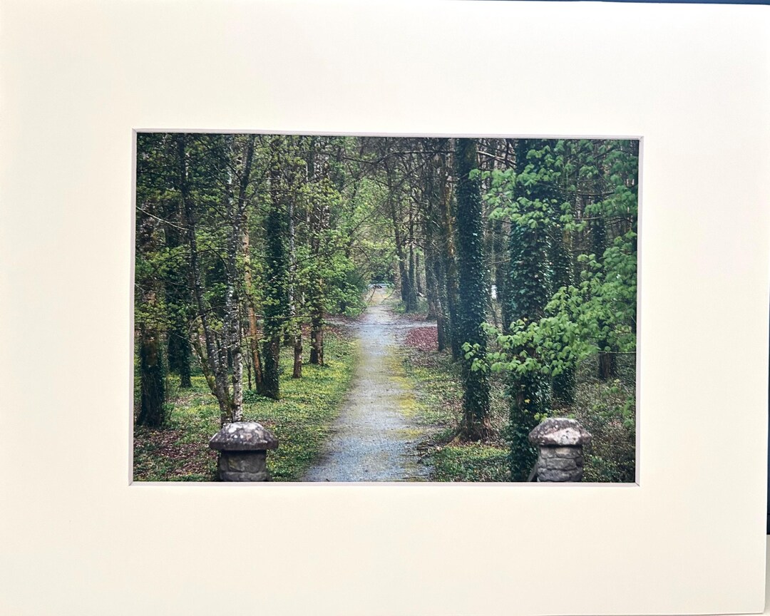 Ireland Fine Art Photography - Coole Park Nature Reserve, Co. Galway ...
