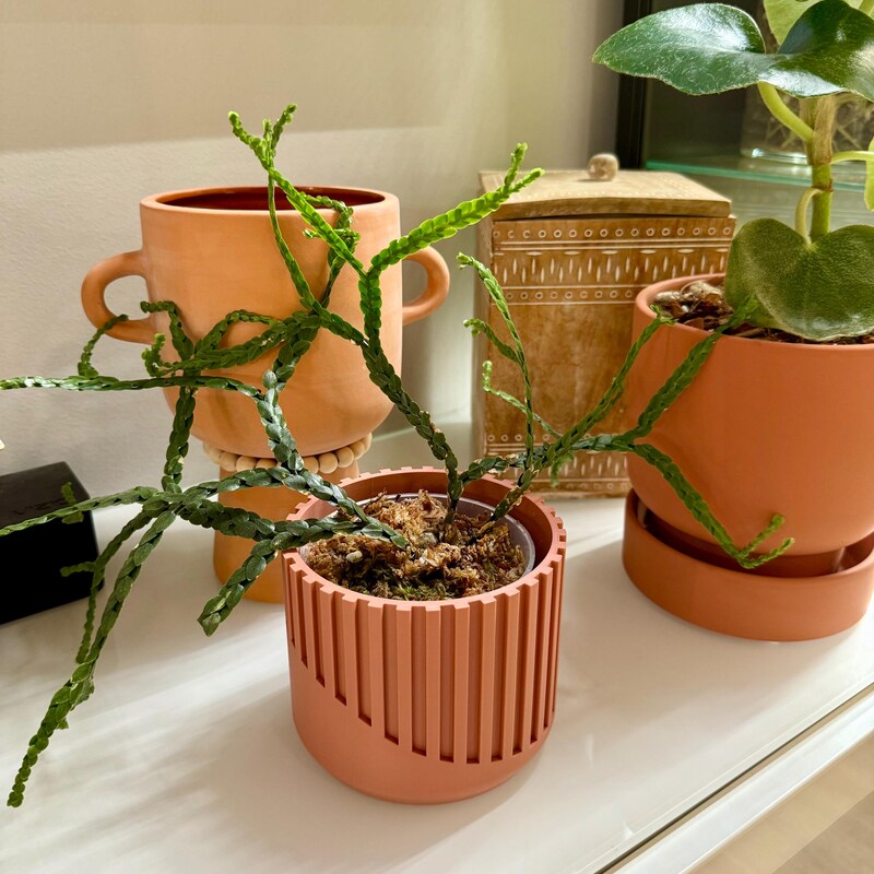 Cute Planter - Etsy