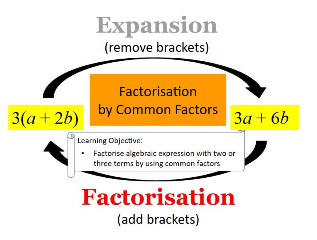 Factorisation by Common Factors worksheet & Solutions - Etsy
