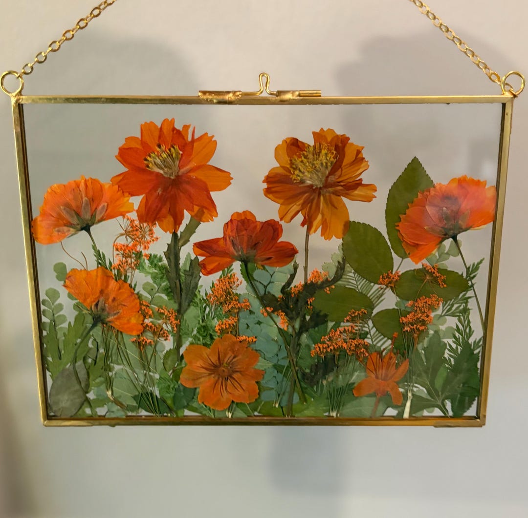 Cosmo Pressed Flower Art: Gold Frame, Cosmo Floral Decor Fall Decor ...